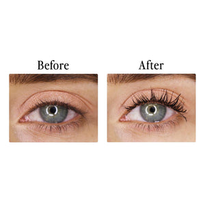 Forever Lash Mascara – Billion Dollar Beauty